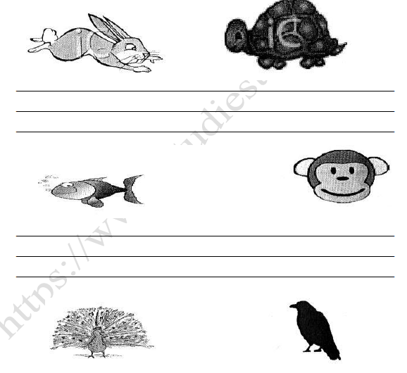 cbse-class-3-english-practice-worksheet-the-ship-of-the-desert-set-b
